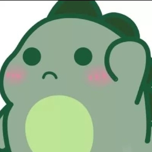 爱玩游戏的洞洞ovo 