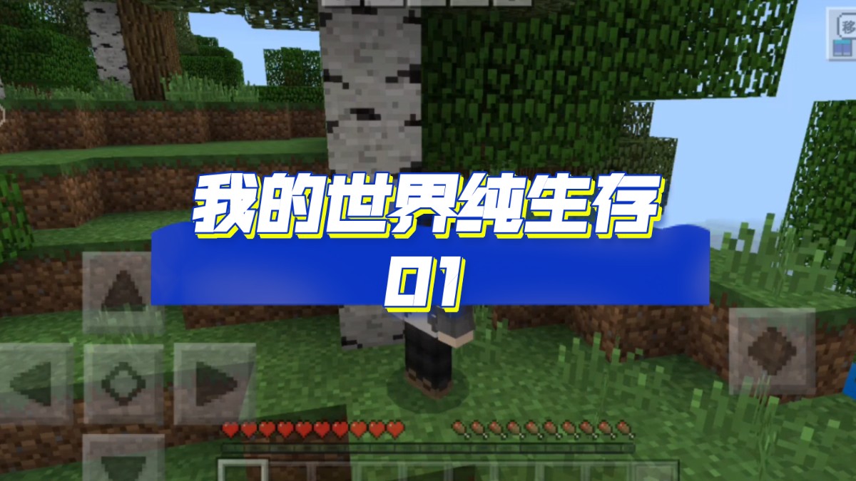 我的世界纯生存01:新人主播生涯第一期视频,被怪物暴打?