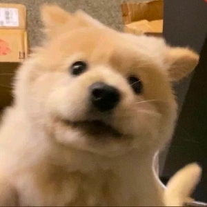 清水涮牛腿 