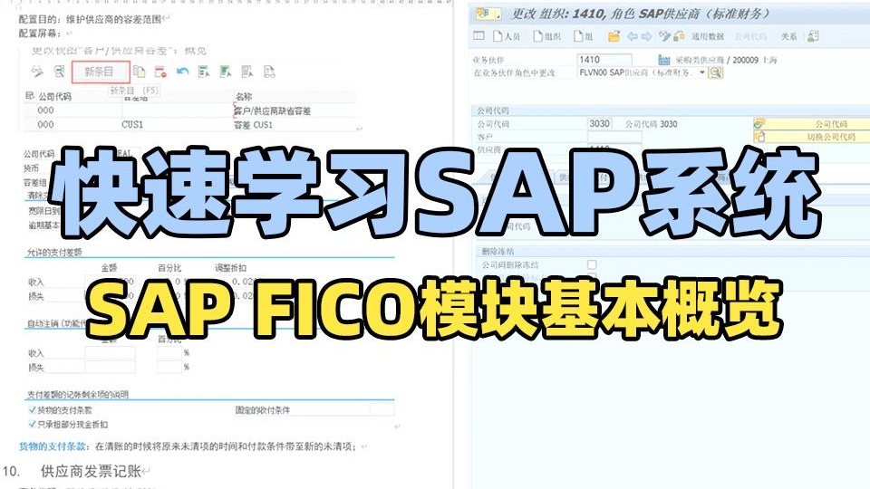 SAP从入门到精通 SAP系统总体框架及ABAP开发的作用