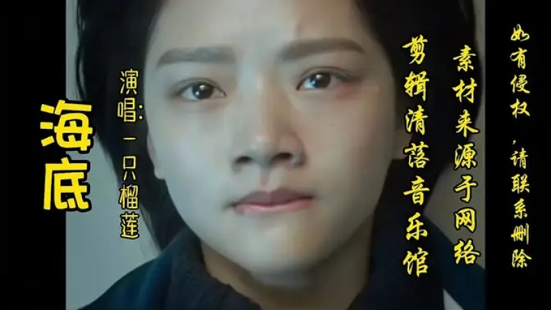 一只榴莲演唱的《海底》