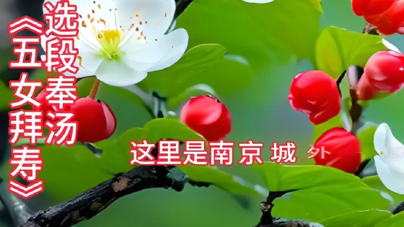 上热门 弘扬传统戏曲文化