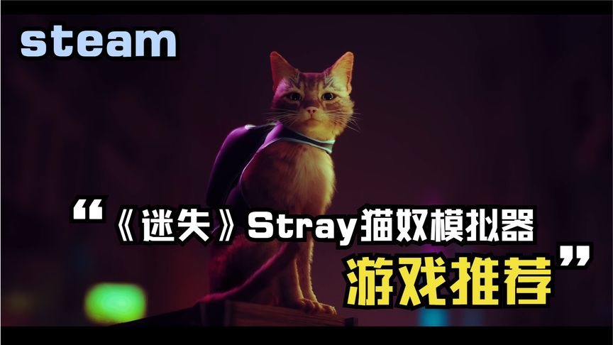 《迷失》Stray,猫奴必须要玩的第三猫称猫咪模拟器游戏