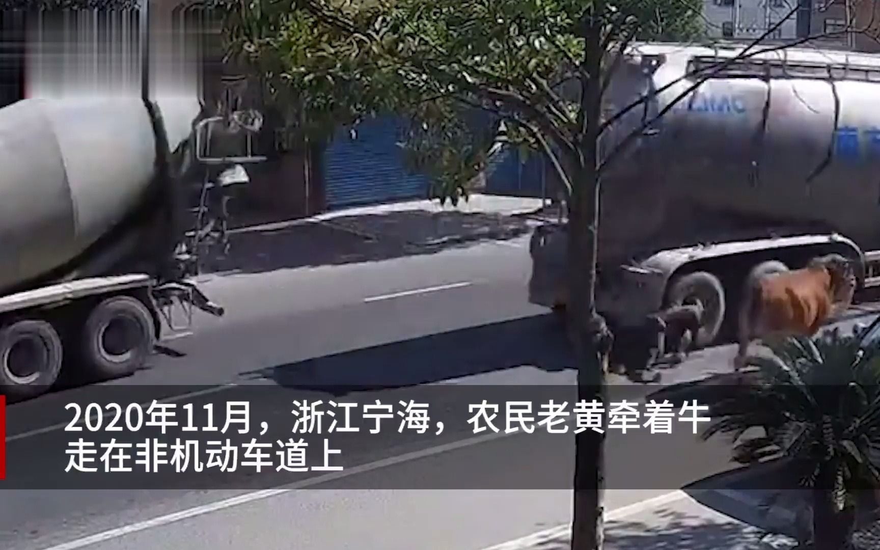 男子街头被自家牛踢飞撞上货车后致残!法院:双方均存在过错