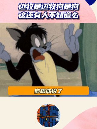 早就说了狗是狗边牧是边牧! #边牧 #狗 #狗狗的心思都写在脸上了