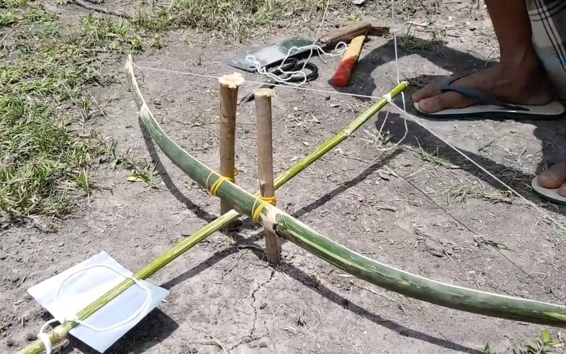 如何使用竹弓制作DIY捕鸟器 - DIY弓鸟陷阱