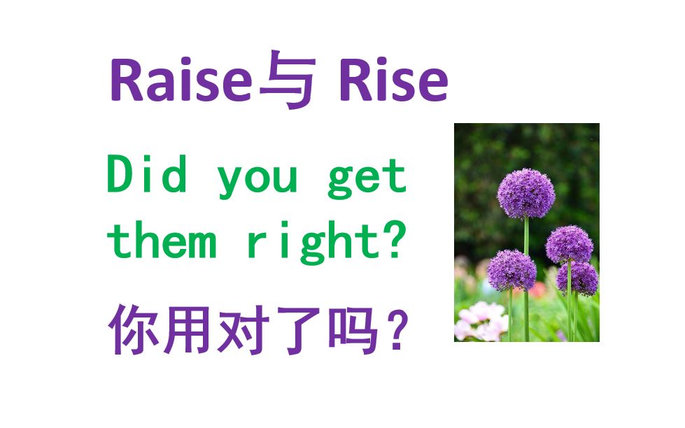 raise 与 rise 你用对了吗?