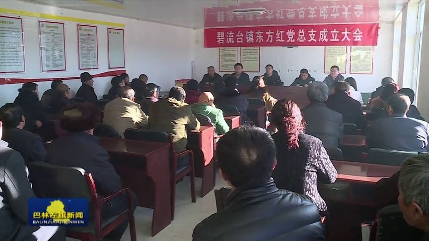 碧流台镇东方红党支部成立大会召开