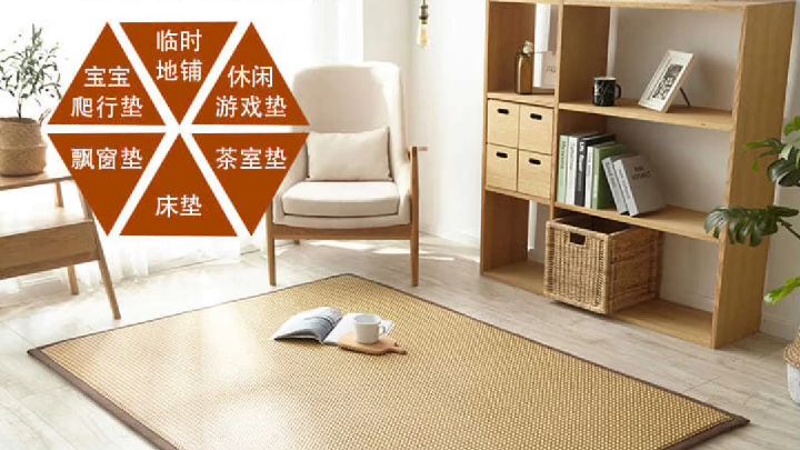 榻榻米地垫定制凉席地毯加厚夏季卧室阳台爬行垫客厅藤编现代简约