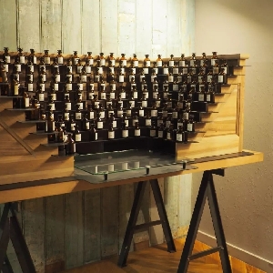 调香师鲨鱼姐姐 