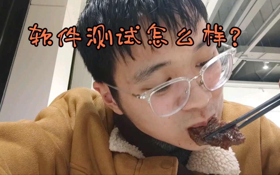 软件测试到底是在干什么?