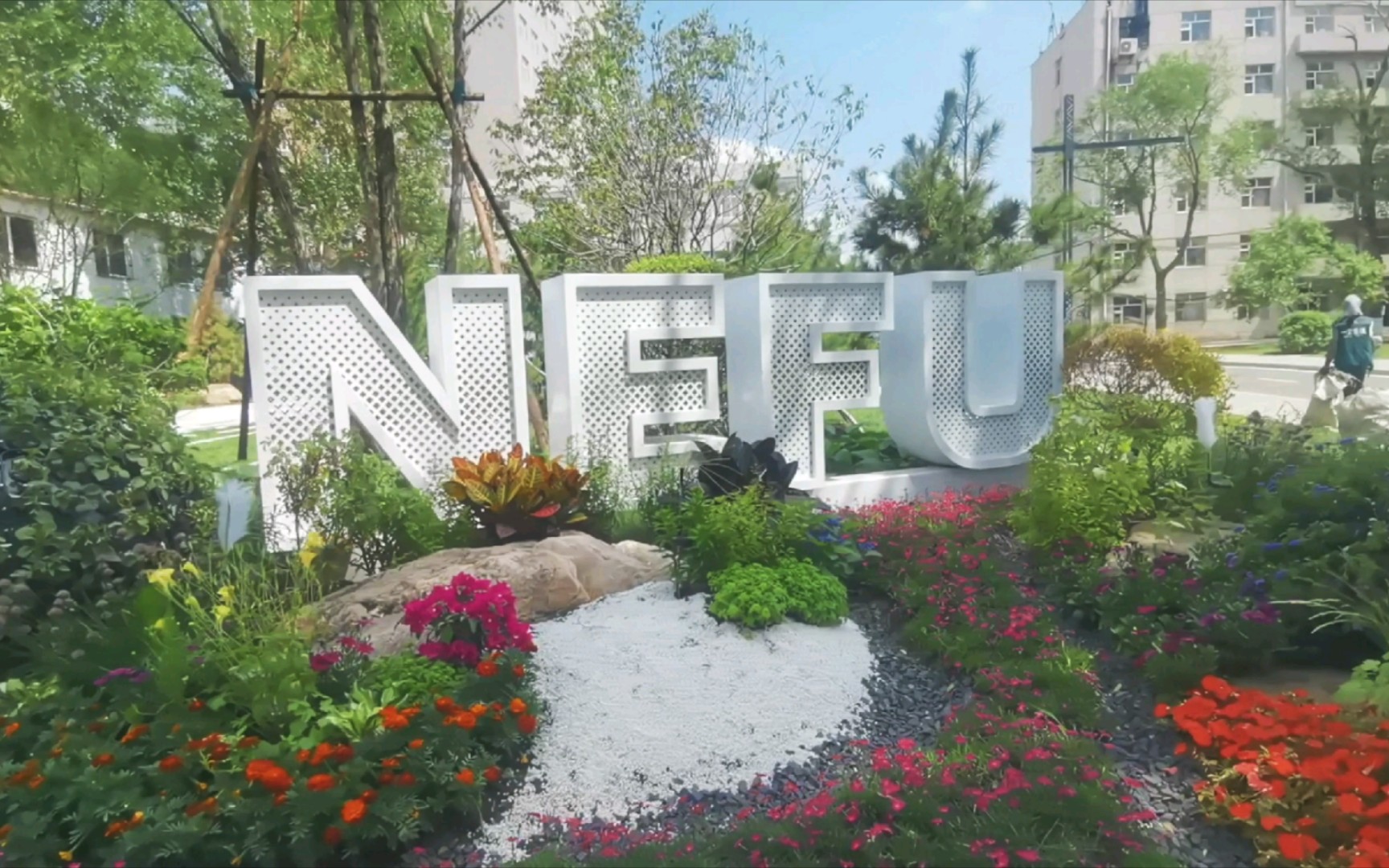 《2022东北林业大学宣传片》NO广告短视频作业YES