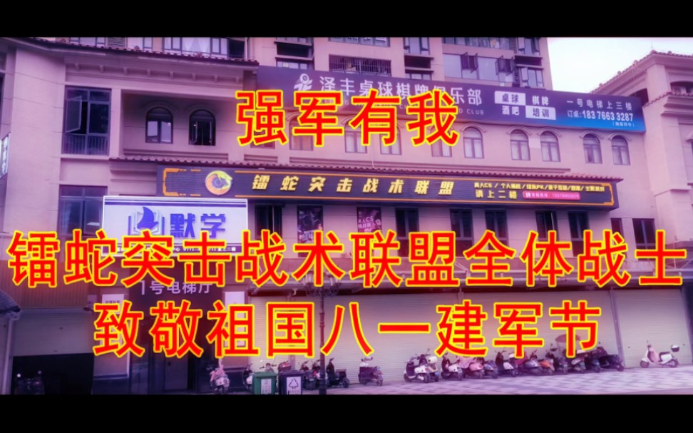 致敬祖国八一建军节南宁真人cswargame场地81建军节活动镭蛇突击...