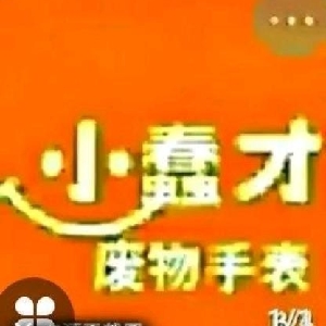 小蠢才废物手表 