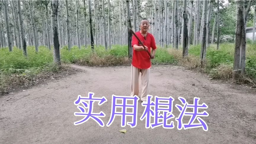 实用的棍法单式单练,用于实战效果特别好,只要坚持就好。