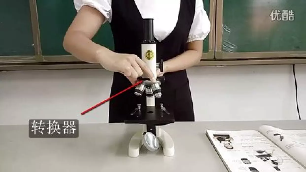 认识显微镜的结构