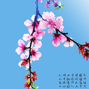 懒猫的星期天SY 