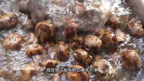 6斤马蹄仅出77克粉!15元成本背后的惊人损耗,你还愿意买吗?