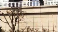 Sunrim移动阳光房安装