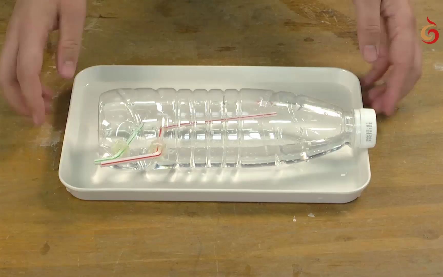 20_制作盆栽自动浇水装置