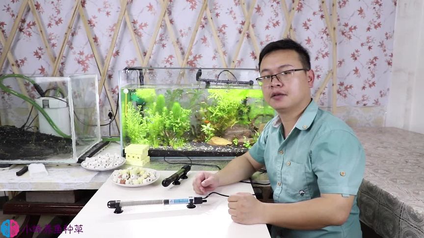 鱼缸加热棒的选择和使用你做对了吗?做不好整缸鱼可能“煮成汤”