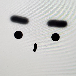 JedV的歌唱记录 