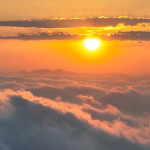 靳一戈 