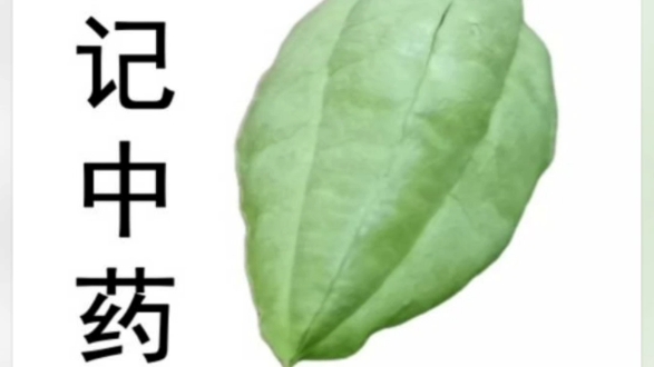 《300中成药》第135剂 逍遥颗粒