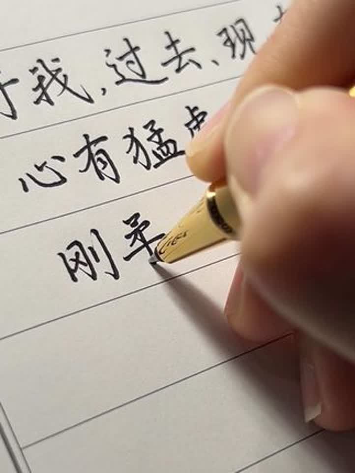 "心有猛虎,细嗅蔷薇 "#派克钢笔