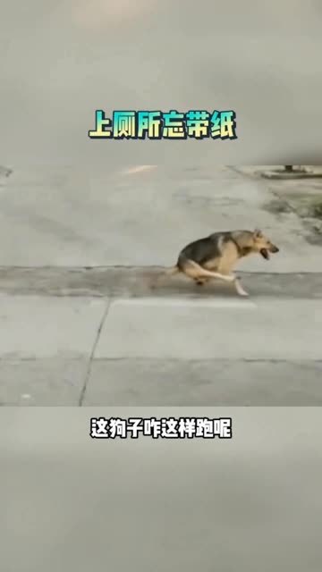 上厕所忘带纸