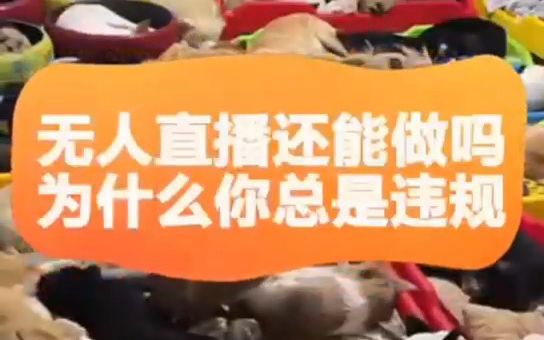 无人直播还能做吗?为什么你总是违规?#直播创业