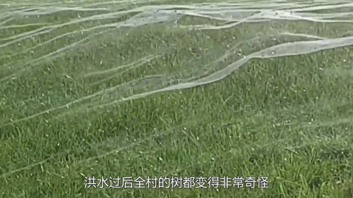 洪水过后全村都变得非常奇怪,专家看后脸色大变:让人立刻逃走