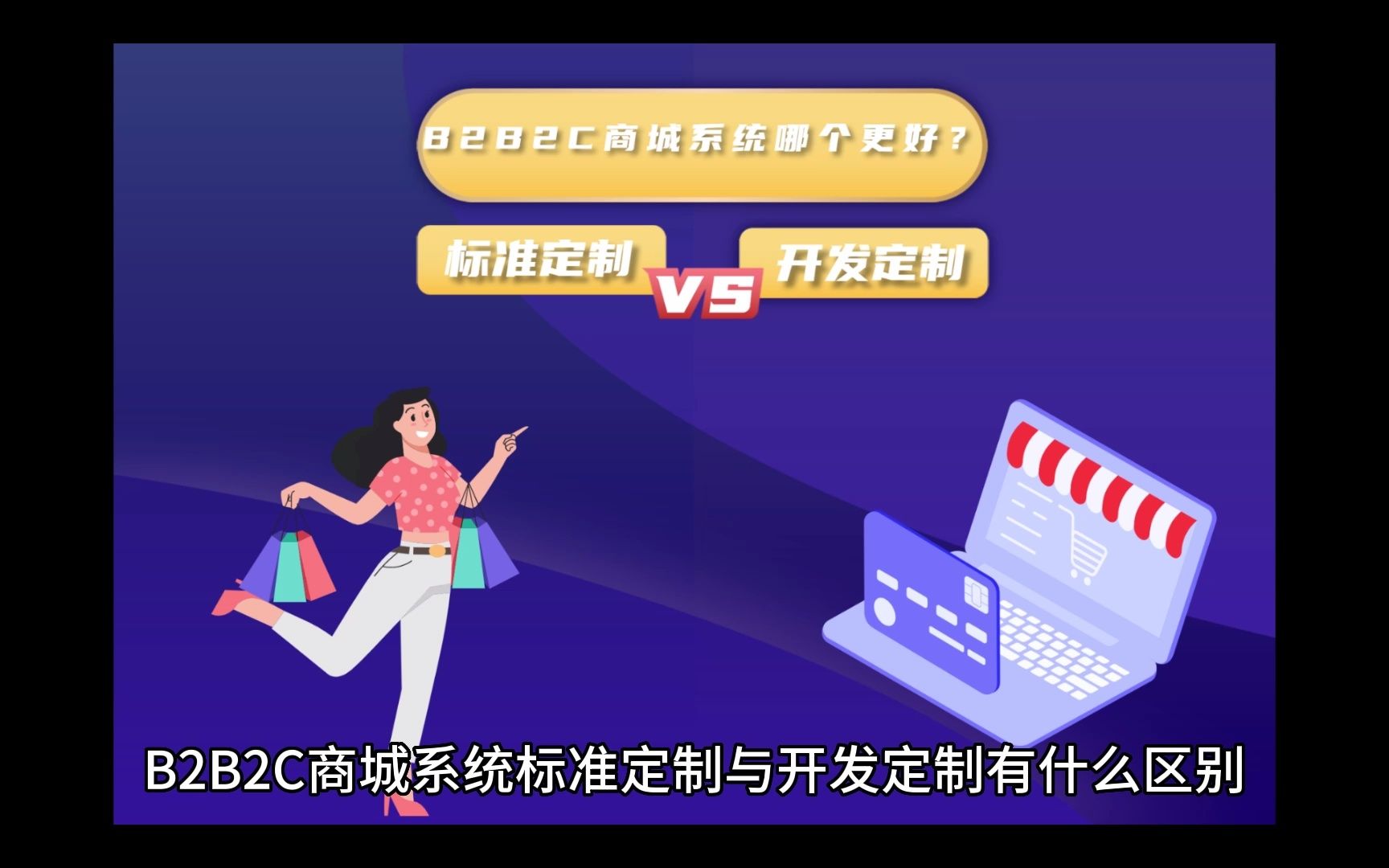B2B2C商城系统标准定制与开发定制有什么区别