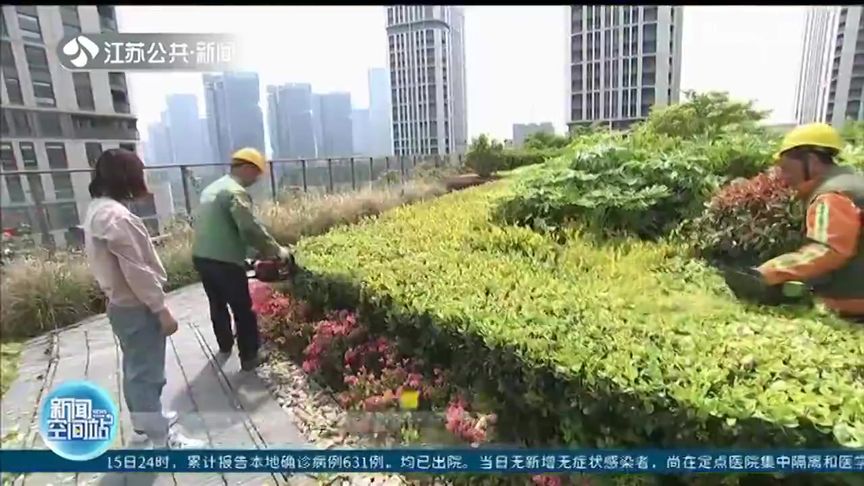 6年来南京屋顶绿化面积接近翻番:让住户不出家门就能赏景!