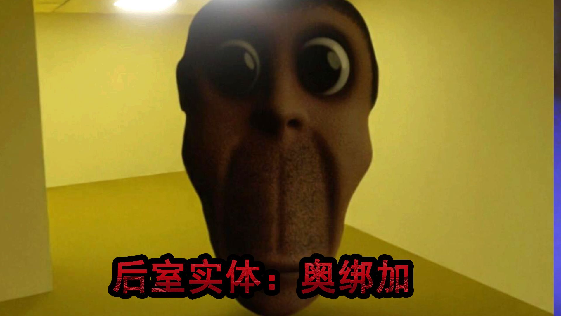 他是后室唯一像奥巴马的实体,奥绑加
