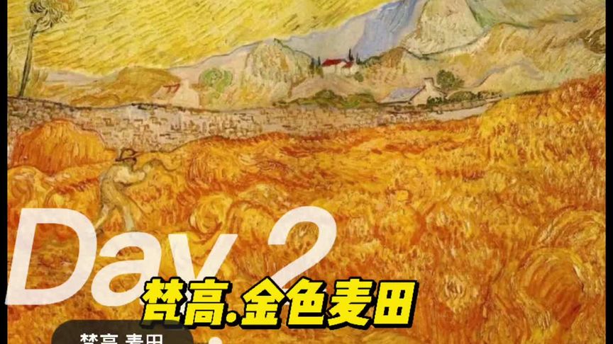 艺术作品欣赏 梵高 麦田#画画 #梵高 #艺术 冷知识