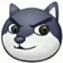 just-a-doge 