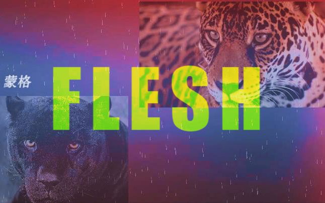 【黑豹/双豹组/金黑/金紫】FLESH 剧情小破车 AO向 未完待续