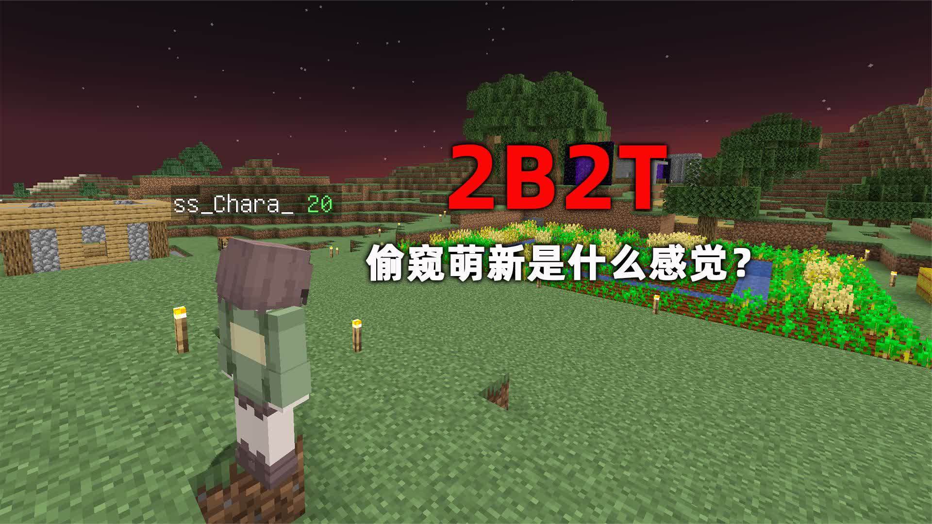 我的世界2B2T服务器:偷窥萌新是什么体验?只可意会不可言传!
