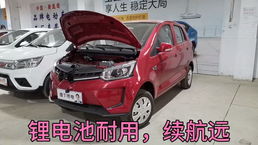雷丁D80,安装锂电池,续航远,电池耐用10年