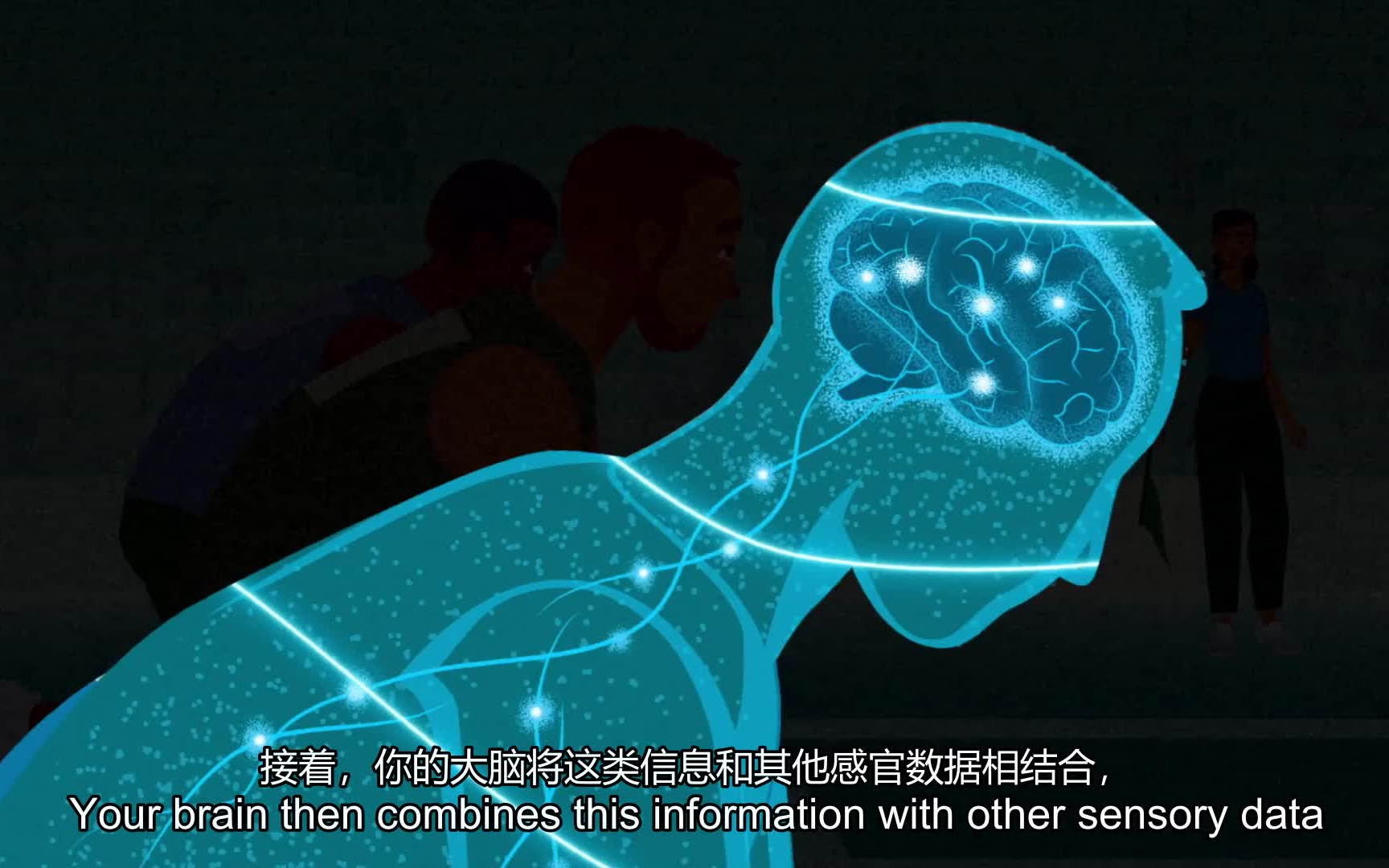 【TED-ED】【神奇的人体知觉神经系统】【中英双语自翻译熟肉】【...