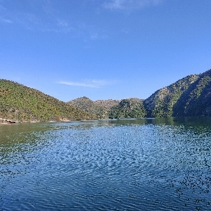 工程造价冯老师 