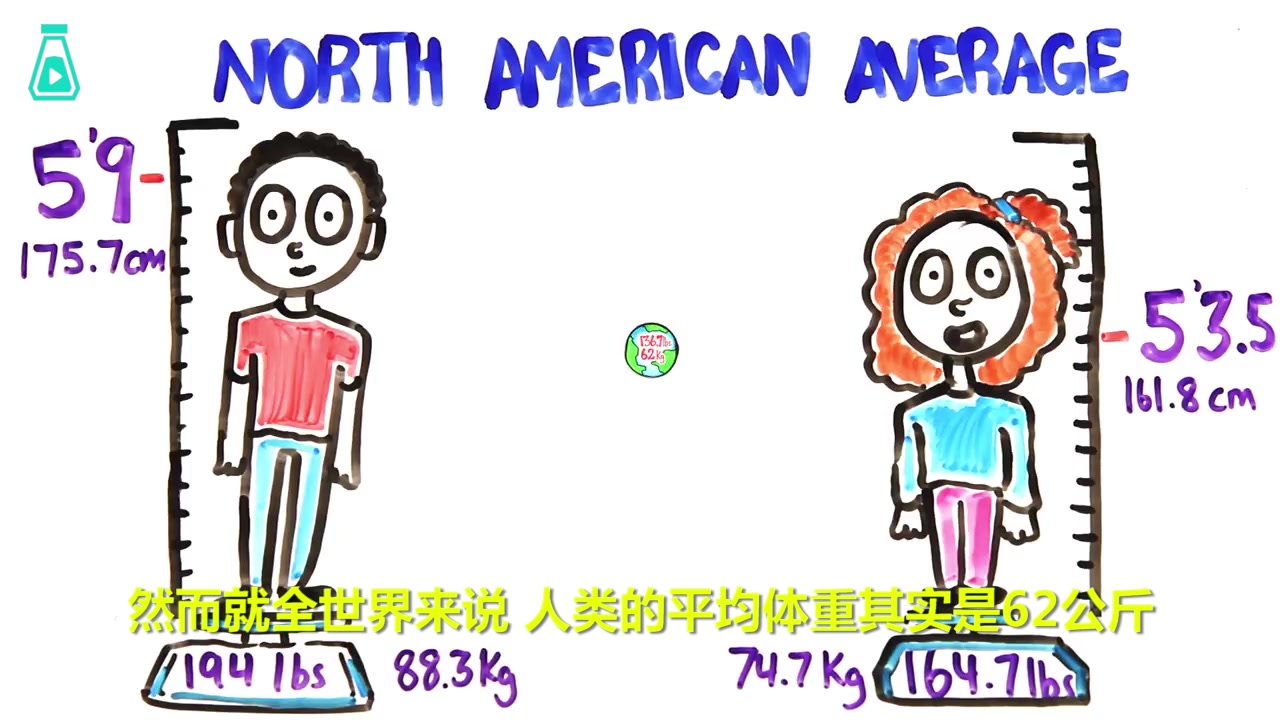 全世界人民的平均数据 来看看你处于什么阶段