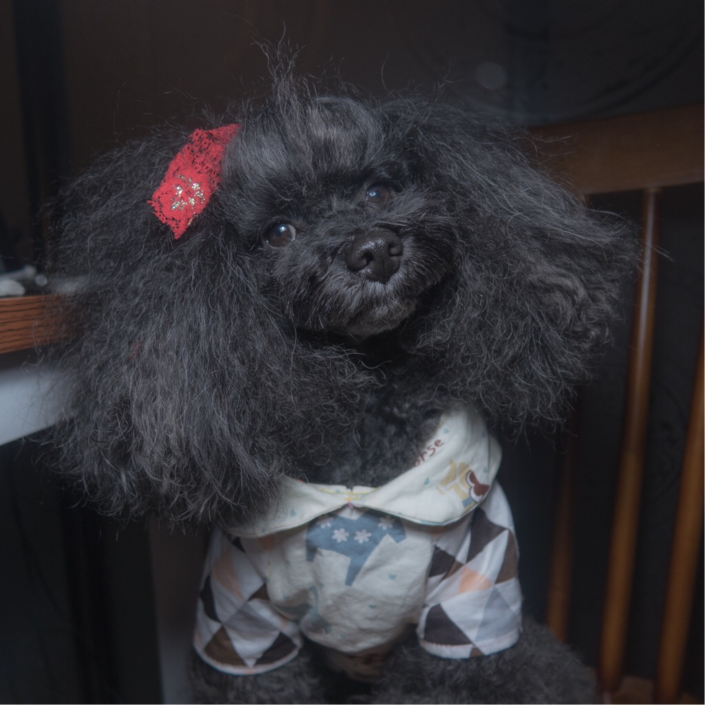 十分落落 