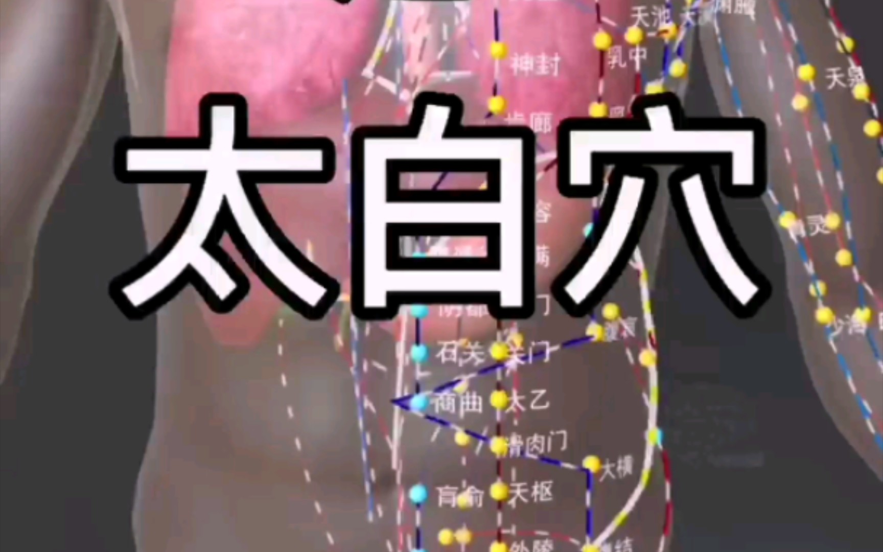 十二原穴之(足太阴脾经原穴太白穴)
