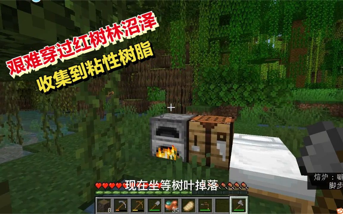 我的世界1.19科技复兴2:艰难穿过红树林沼泽,收集到粘性树脂