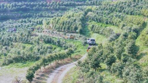 豹隐都市丛林!方程豹如何重新定义你的生活美学?