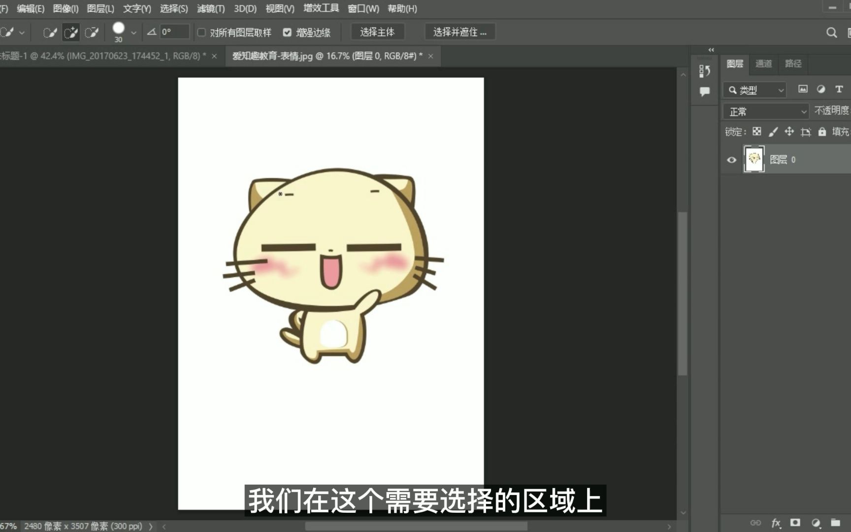 6.选区(魔棒工具组) PS教程小白到高手系列2023最新 从零开始学PS!