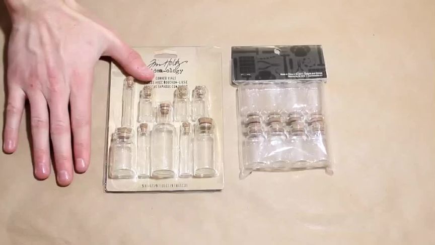 全世界最小的生态瓶就在这里,原来制作如此简单