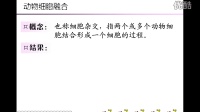 徐老师的动物细胞融合